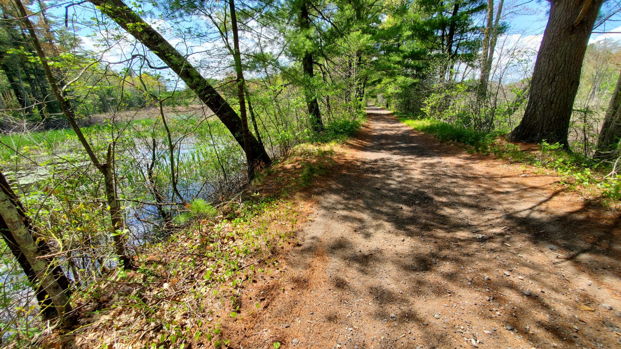 Regional Town Trail Plan for Lynnfield Centered on Willis Woods ...